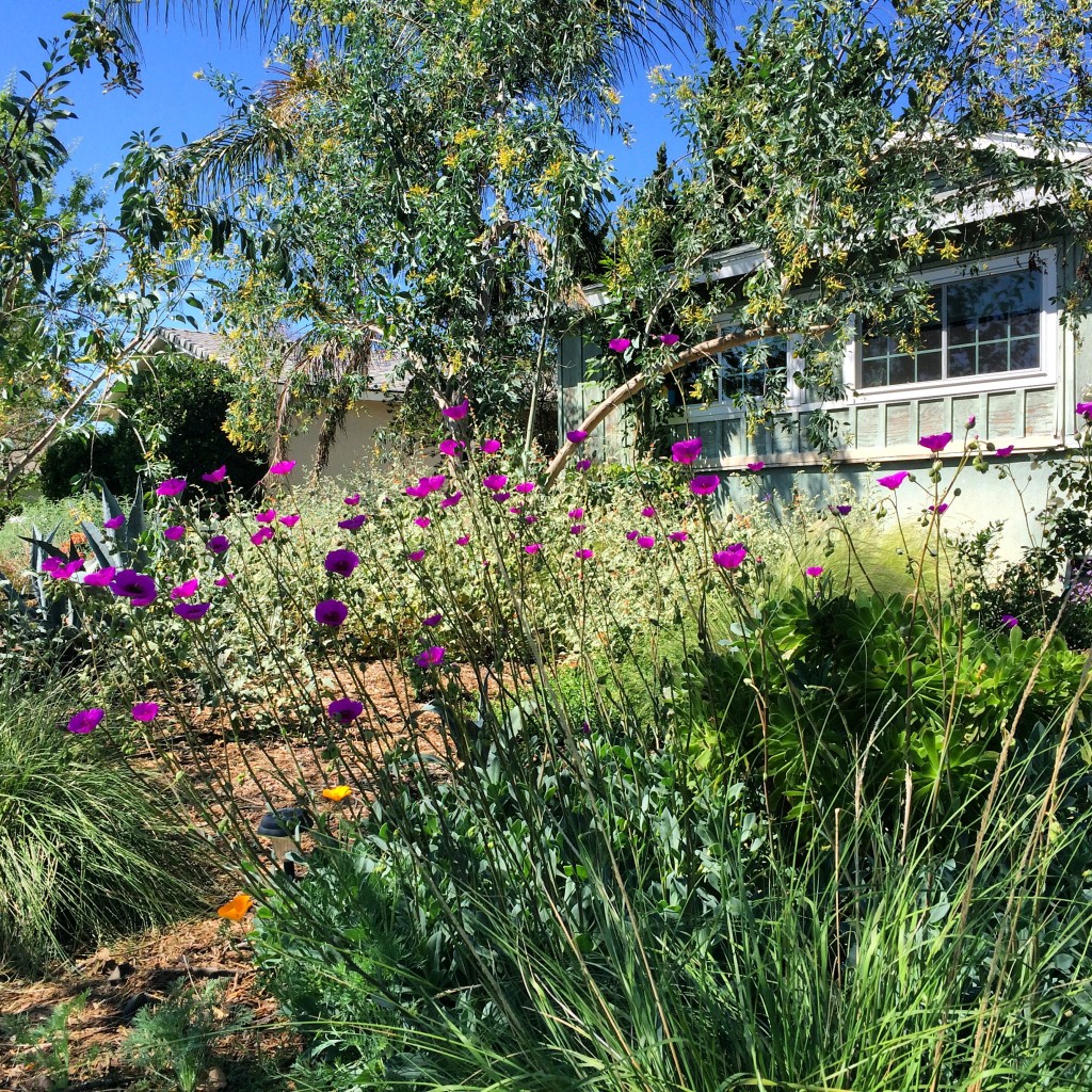 IMG_4634 - Hope Gardens Hope Gardens IMG_4634 - Hope Gardens | This is ...