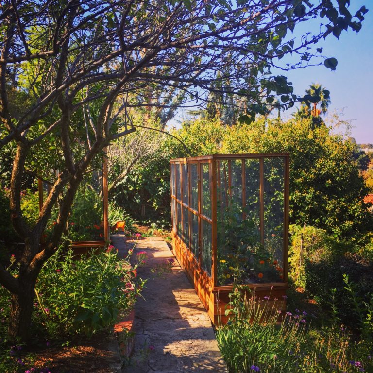 Raised Bed Veggie Gardens - Hope Gardens Hope Gardens Raised Bed Veggie ...